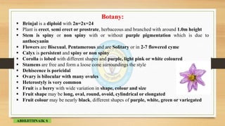 Production Technology of Brinjal.pptx