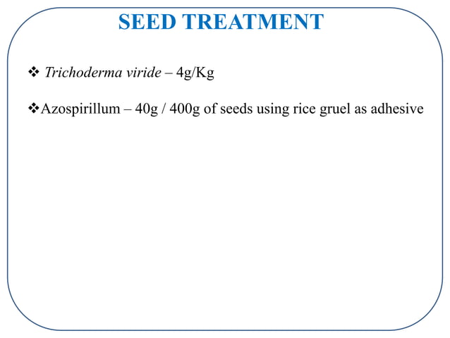 Production technology of Brinjal -Solanum melongena | PPTX