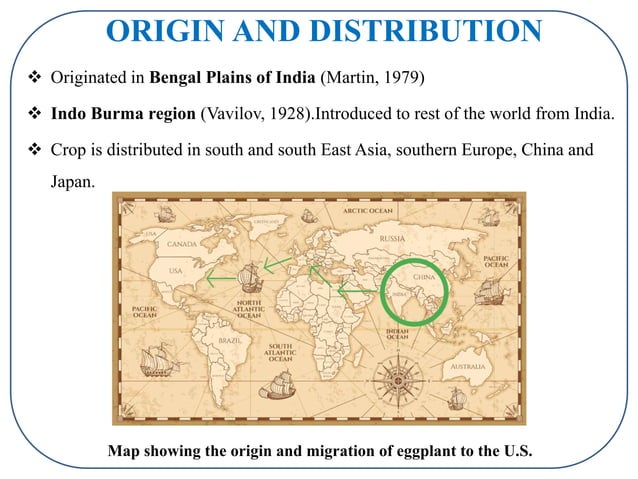 Production technology of Brinjal -Solanum melongena | PPTX
