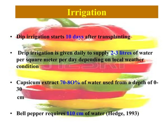 Production technology of Capsicum.ppt | Agriculture | Industries