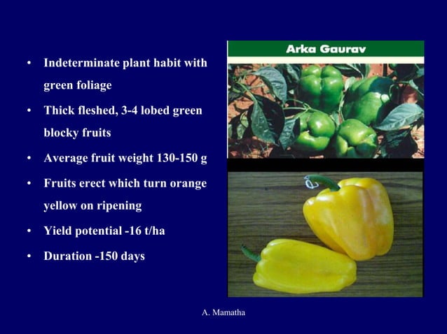Production technology of Capsicum.ppt | Agriculture | Industries