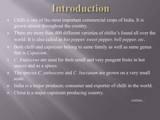 Production technology of chili and capsicum | PPTX