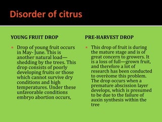 Production technology of citrus fruits | PPTX