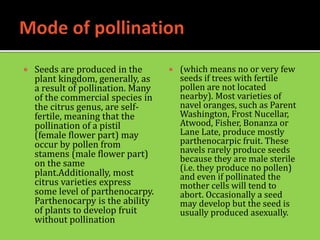 Production technology of citrus fruits | PPTX
