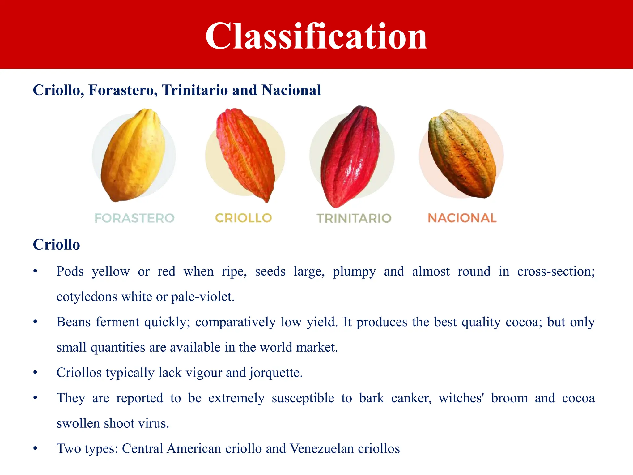 Production Technology of Cocoa (Theobroma cacao).pdf
