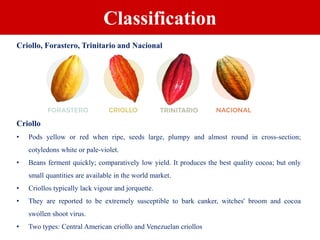 Production Technology of Cocoa (Theobroma cacao).pdf