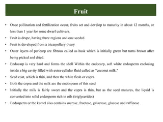 Production Technology of Coconut (Cocos nucifera L.).pdf