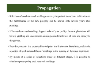 Production Technology of Coconut (Cocos nucifera L.).pdf