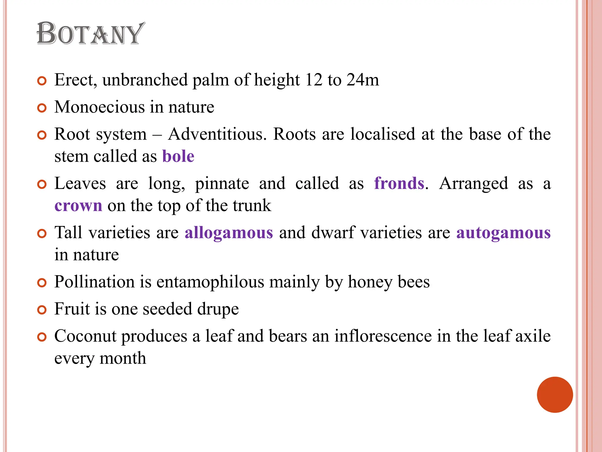 Production Technology of Coconut english.pdf