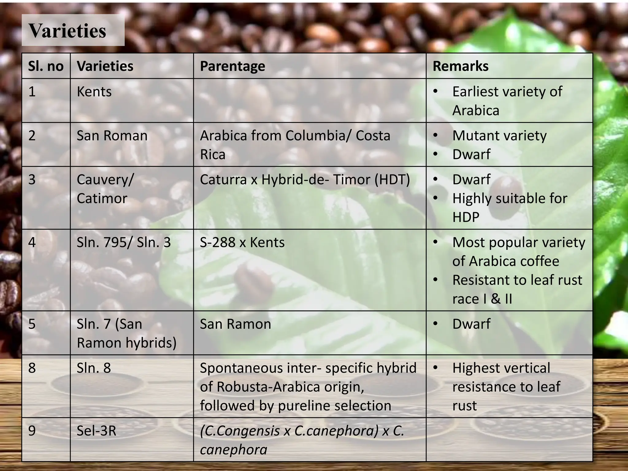 Production technology of Coffee in India | PPTX