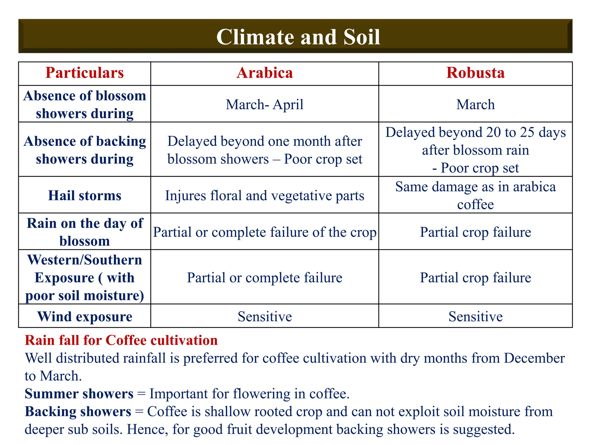 Production Technology of Coffee (Coffea arabica and C. canephora).pdf