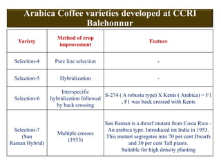 Production Technology of Coffee (Coffea arabica and C. canephora).pdf