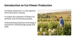Production Technology Of Cut Flowers Rose Gerbera Tuberose.pptx