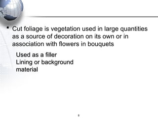 Production Technology of cut foliages (2).ppt