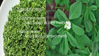 Production technology of fenugreek | PPTX