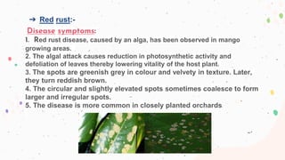 Diseases,pest and physiologial disorder of some fruits | PPTX
