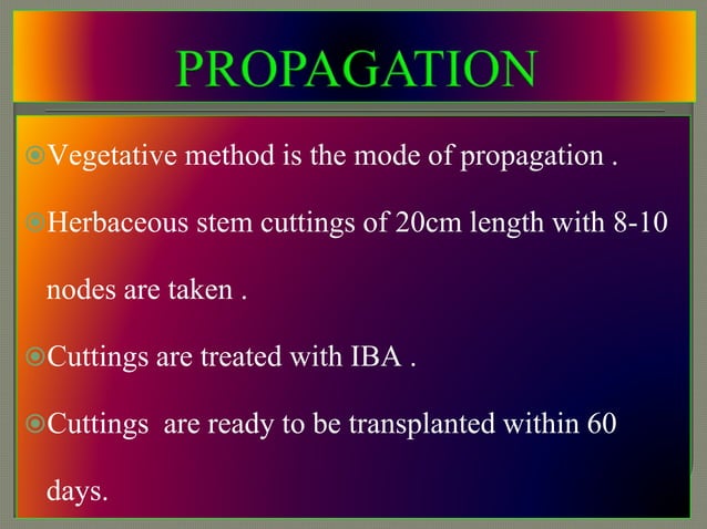 Production technology of geranium | PPTX | Gardening | Home & Garden