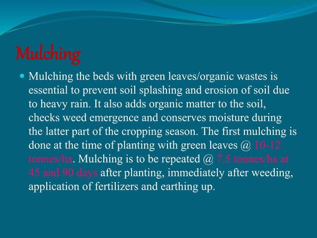 Production Technology Of Ginger Pptx Gardening Home And Garden