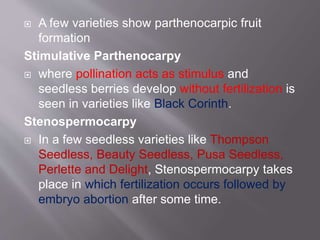 Production technology of grapes | PPTX