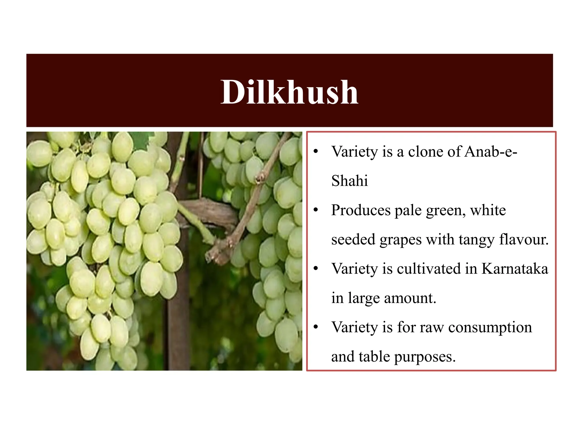 Advances in production technology of Grapes.pdf