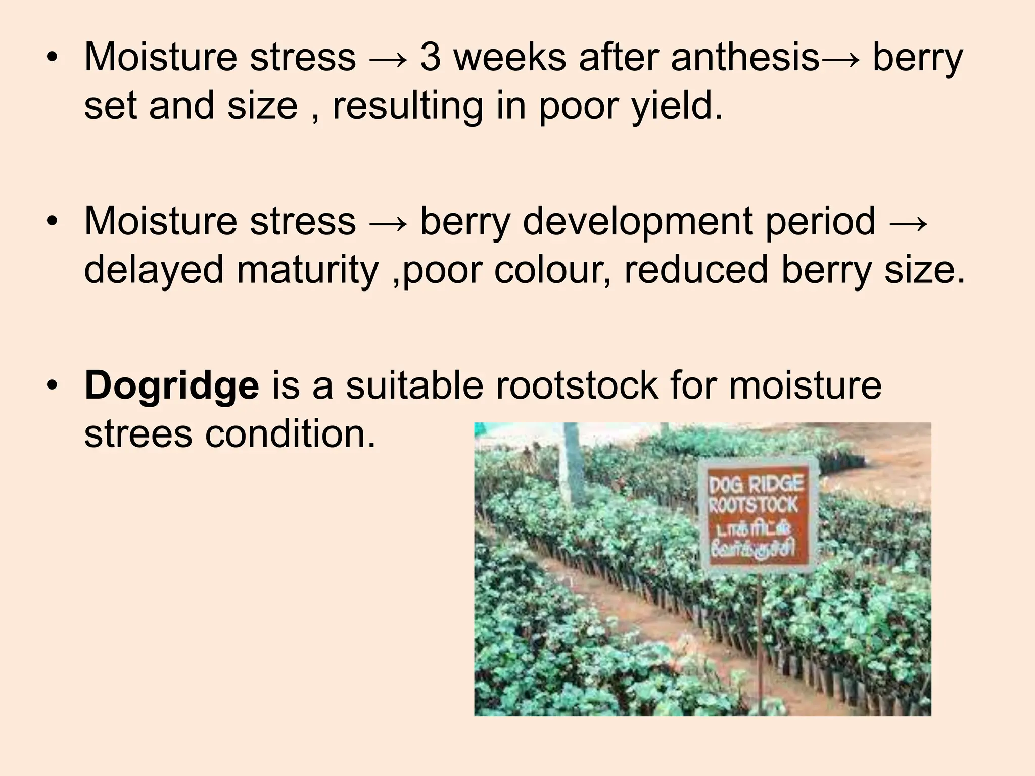 PRODUCTION TECHNOLOGY OF GRAPES.pptx (jayaprakash) | PPTX