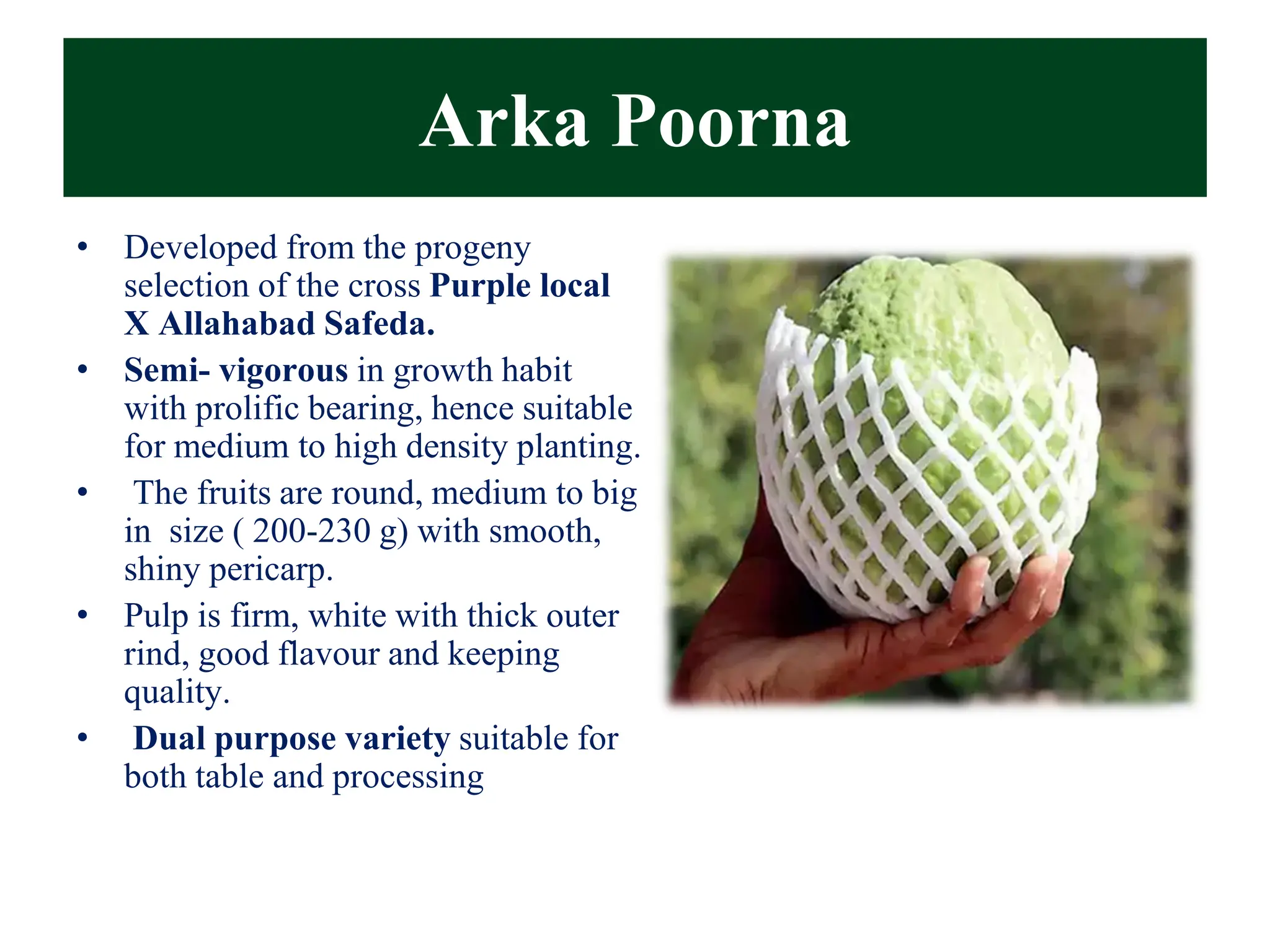 Advances in Production Technology of Guava.pdf