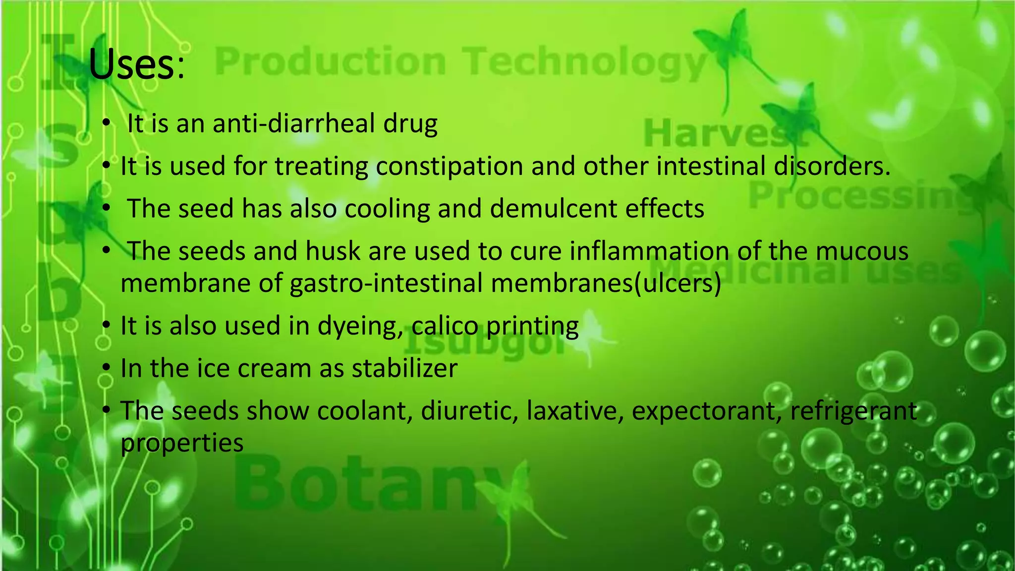 Production technology of isabgol (plantago ovata) | PPTX