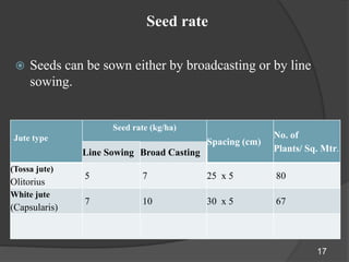 Production technology of jute | PPTX