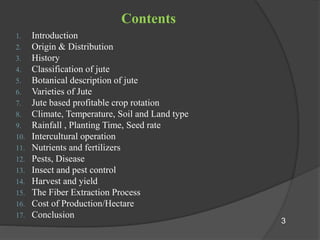 Production technology of jute | PPTX