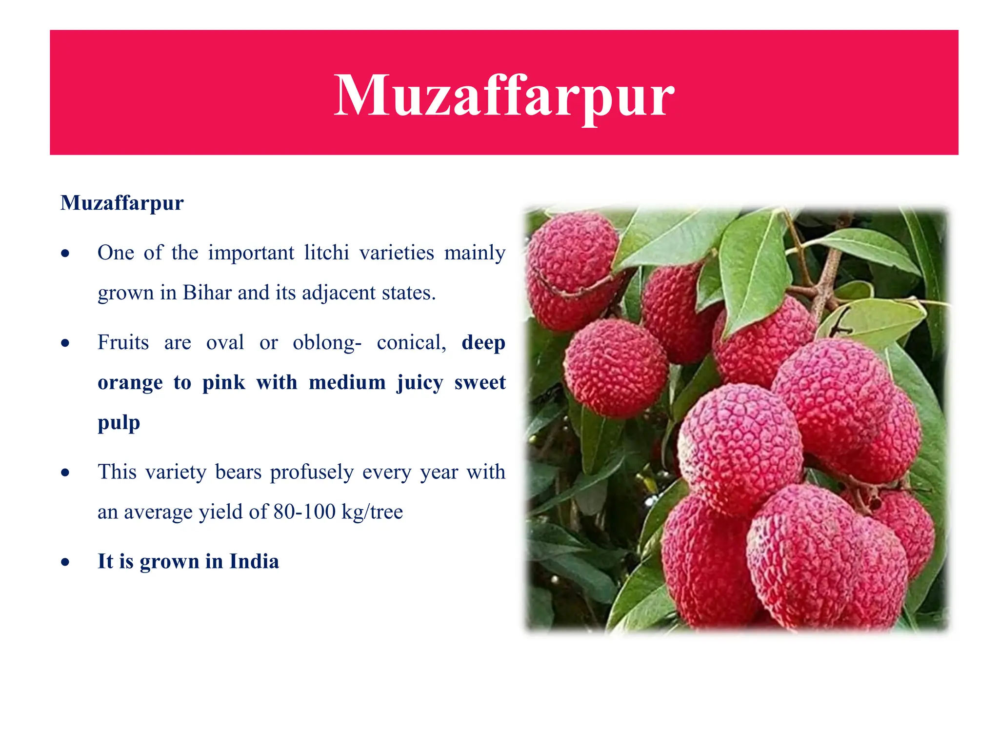 Production Technology of Litchi (or) lychee 1.pdf
