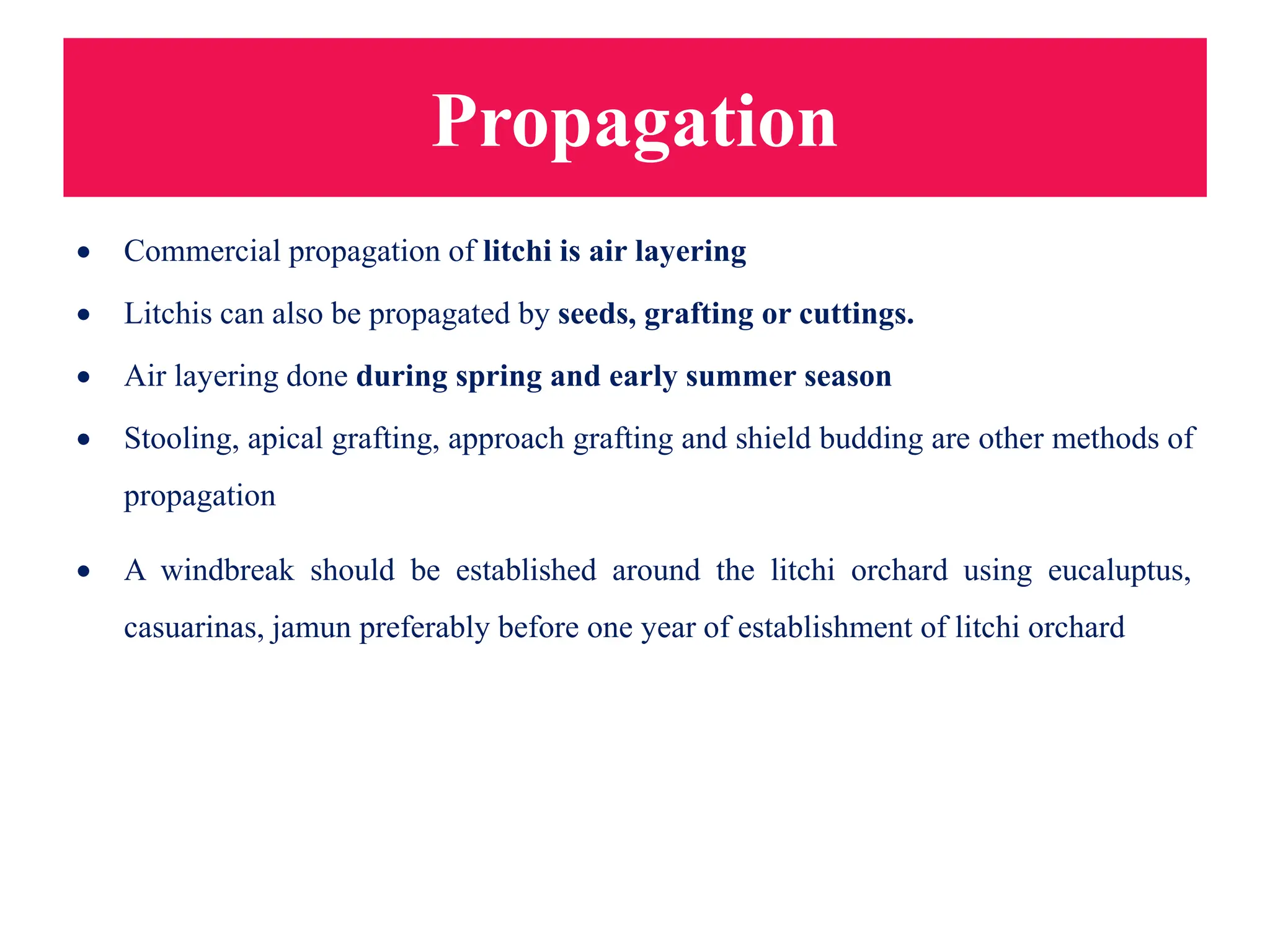Production Technology of Litchi (or) lychee 1.pdf