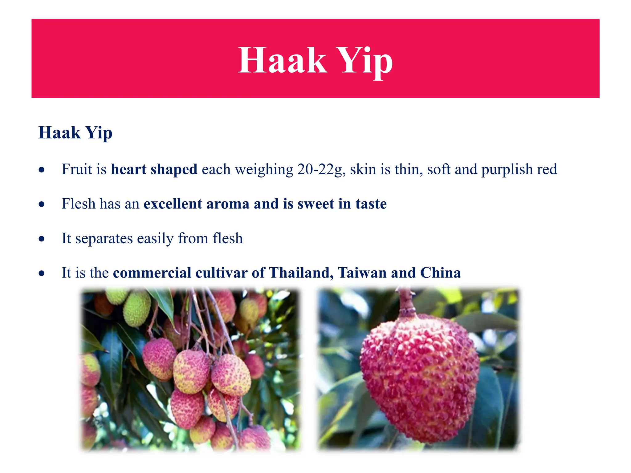 Production Technology of Litchi (or) lychee 1.pdf