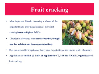 Production Technology of Litchi (or) lychee 1.pdf