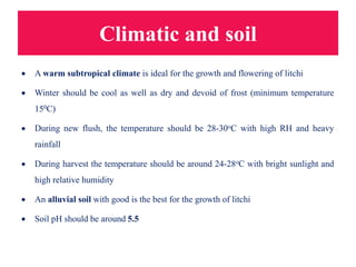 Production Technology of Litchi (or) lychee 1.pdf