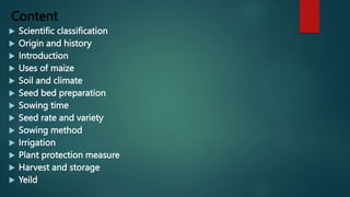 production Technology of Maize.pptx