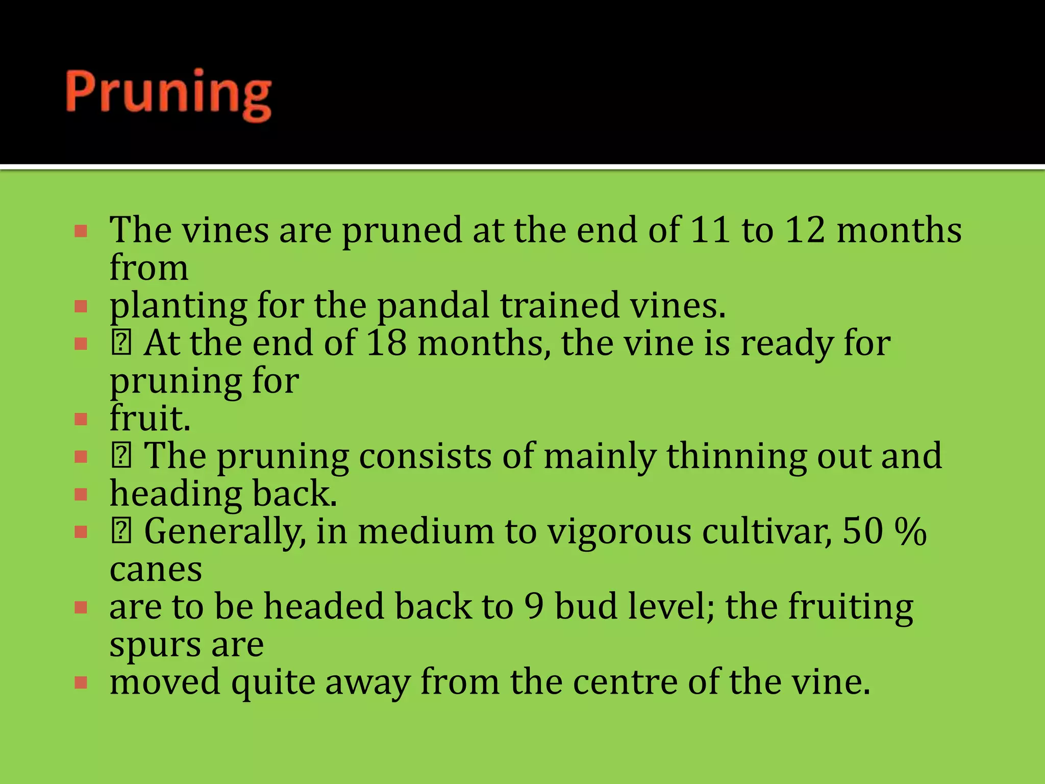 Production technology of mango guava grapes | PPTX