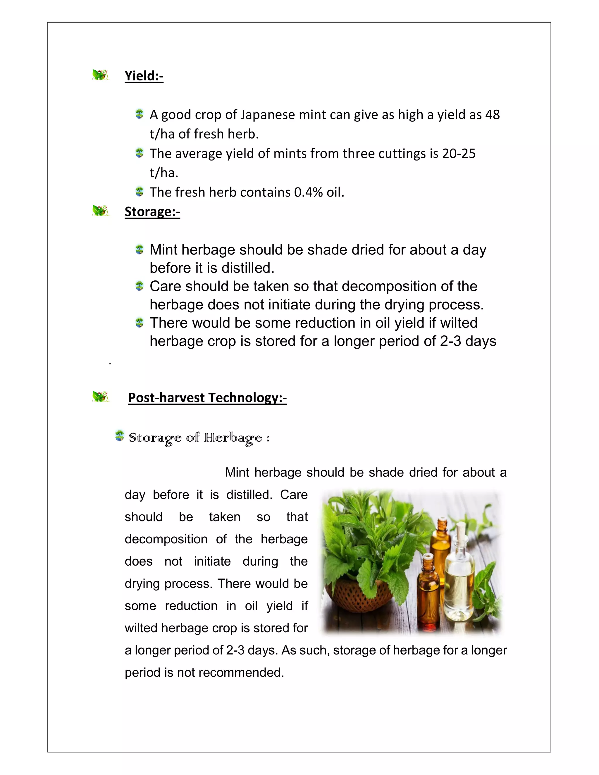 Production technology of Mentha | PDF