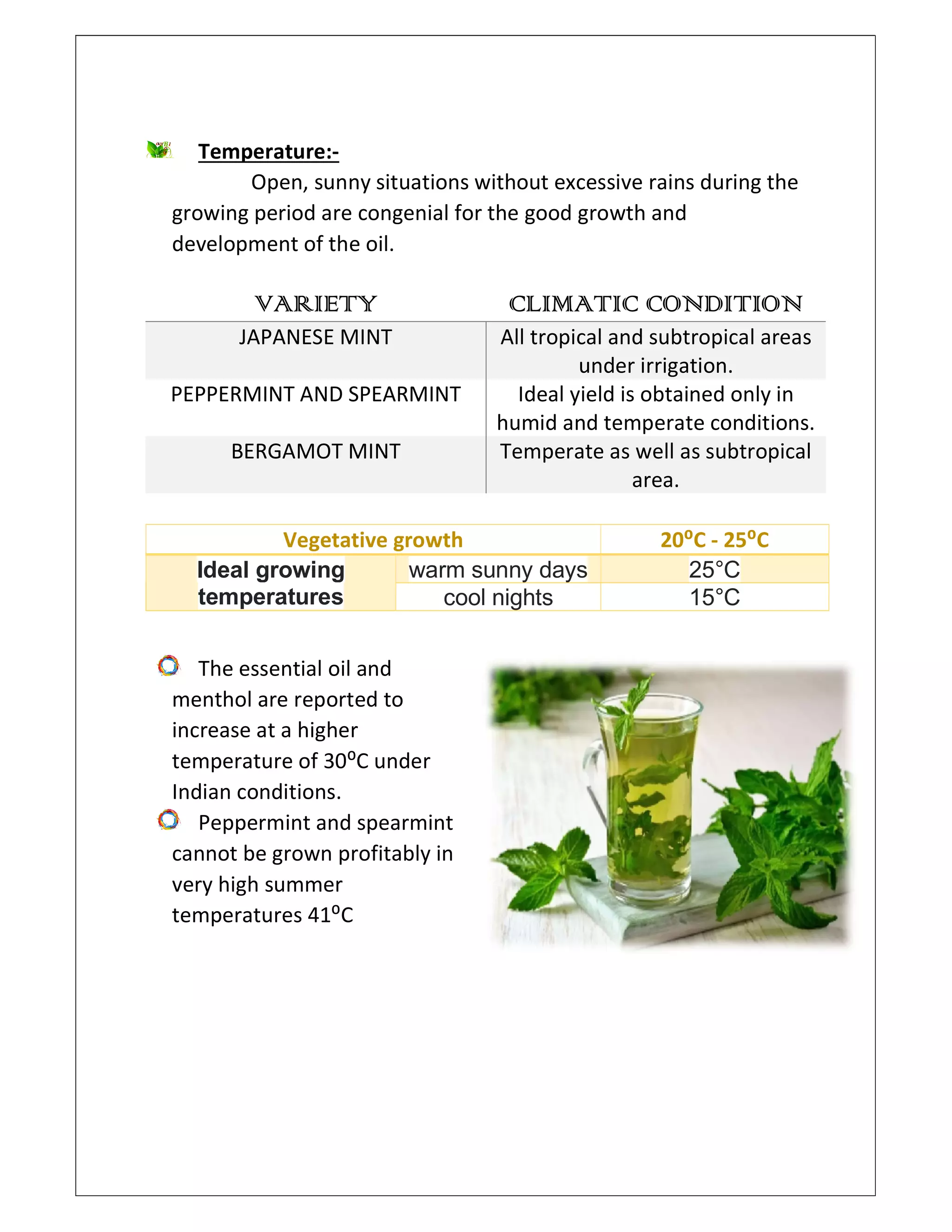 Production technology of Mentha | PDF