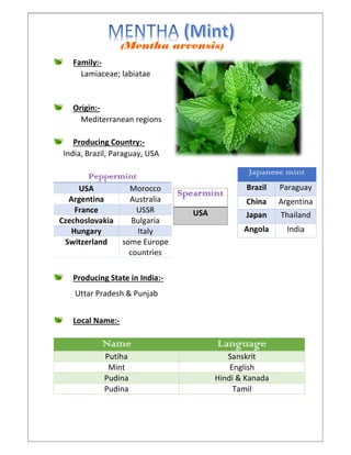 Production technology of Mentha | PDF