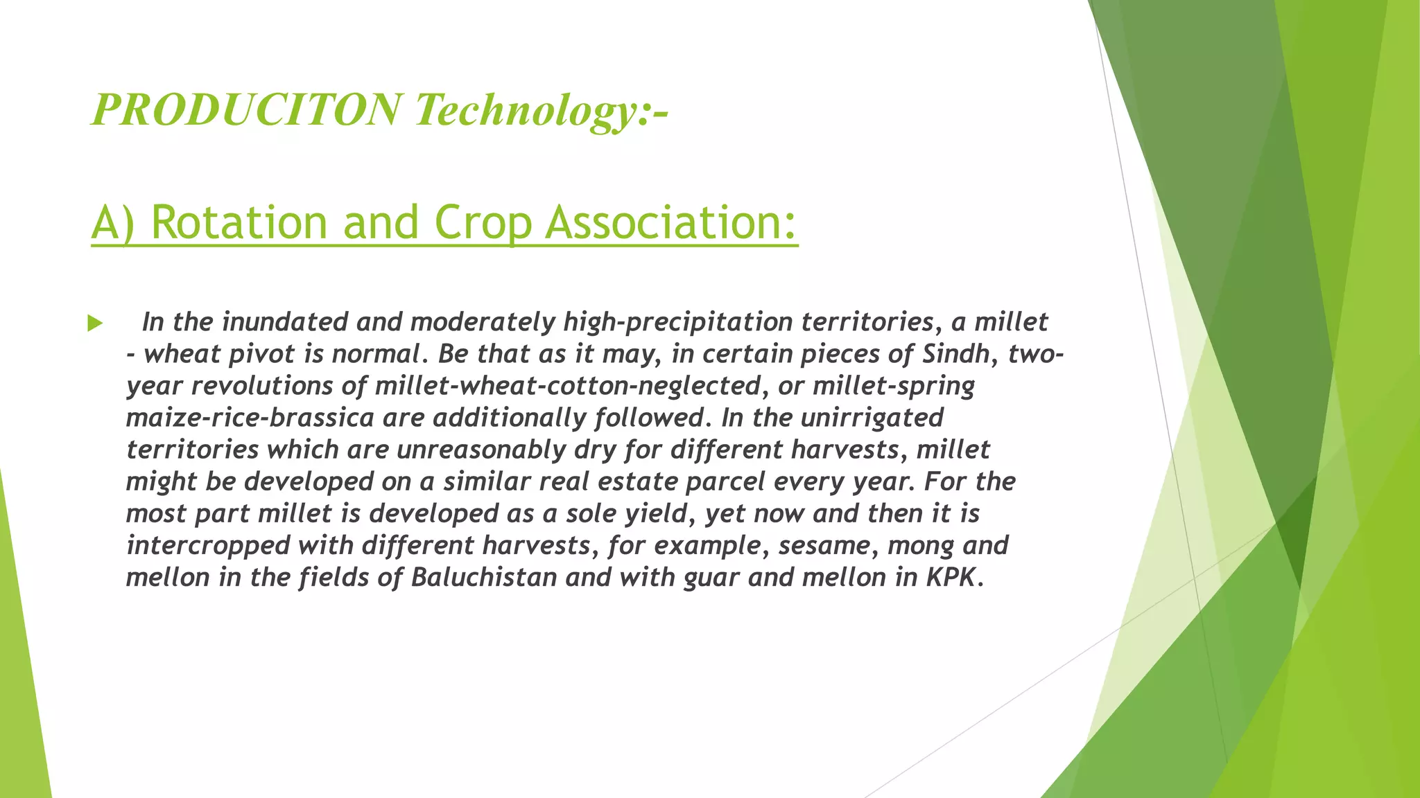 Production technology of millet in Pakistan | PPTX