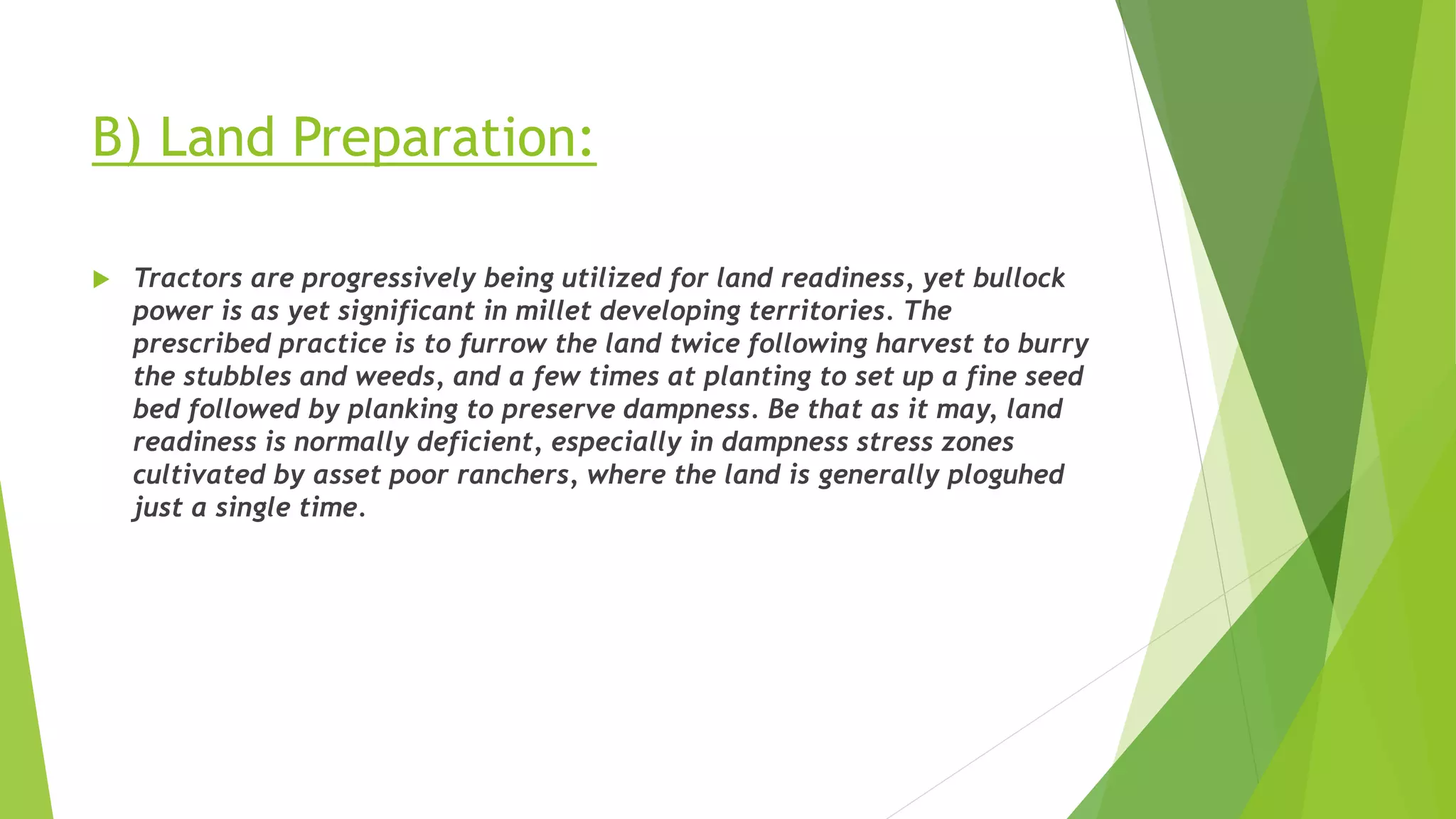 Production technology of millet in Pakistan | PPTX