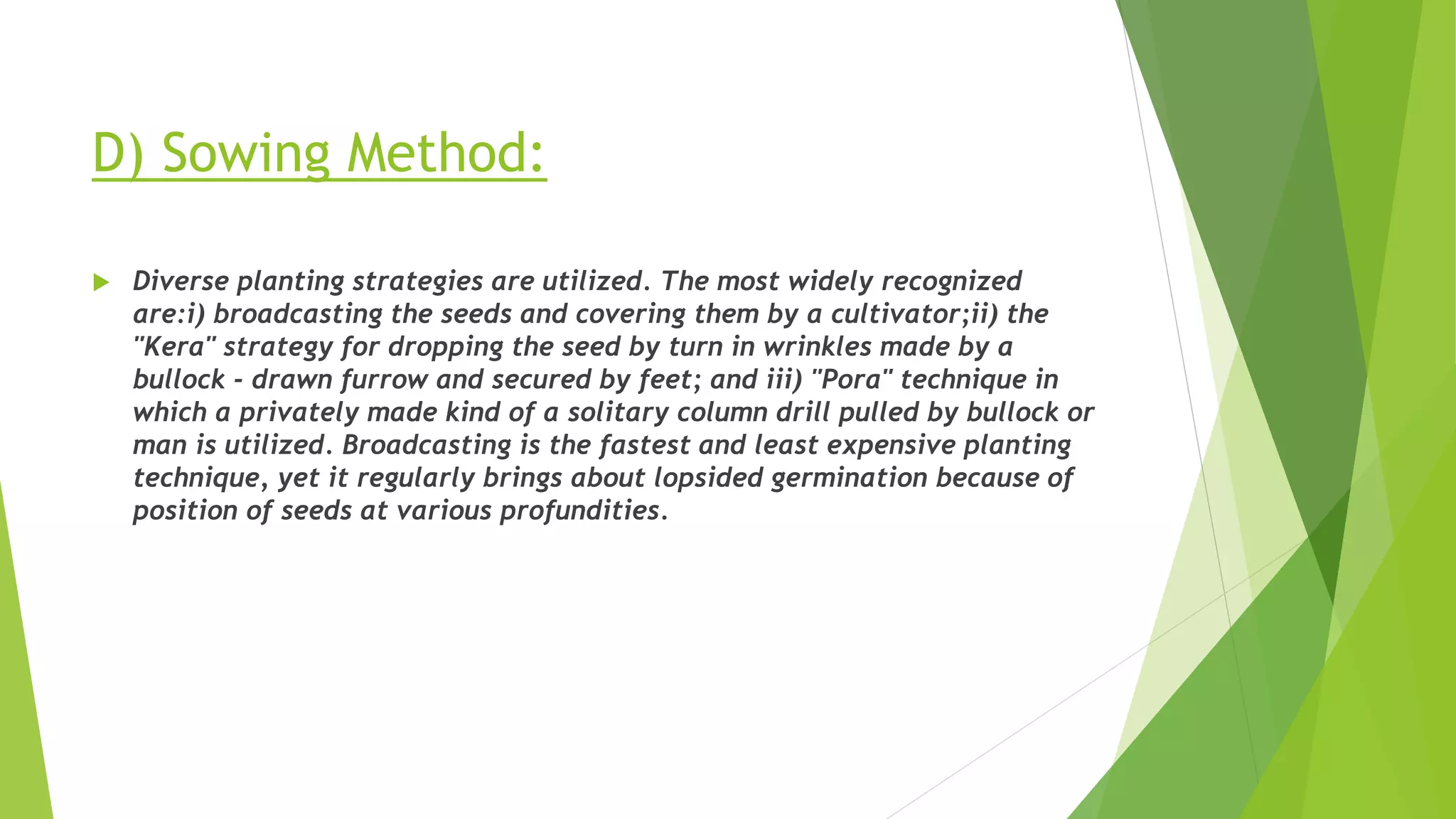 Production technology of millet in Pakistan | PPTX