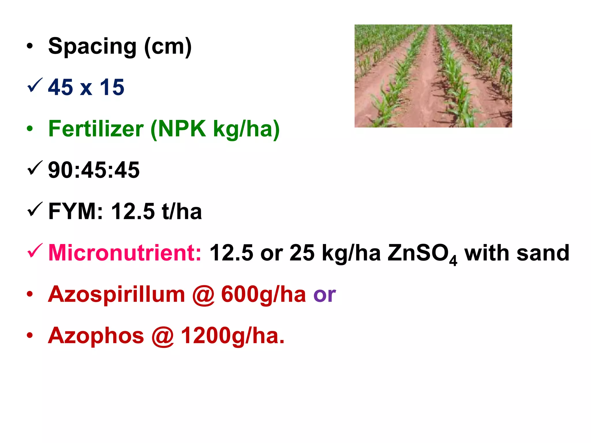 Production Technology of Millets.ppt