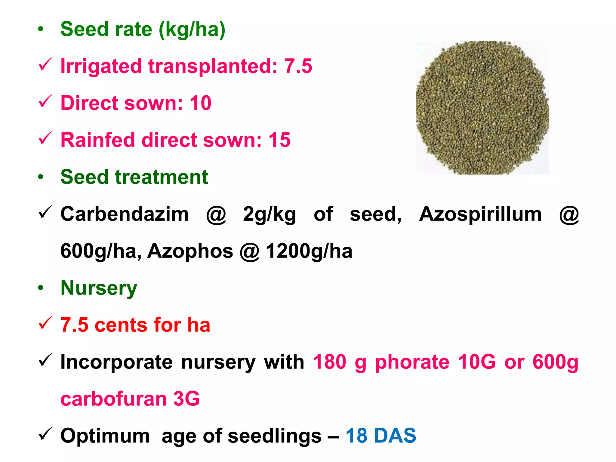 Production Technology of Millets.ppt