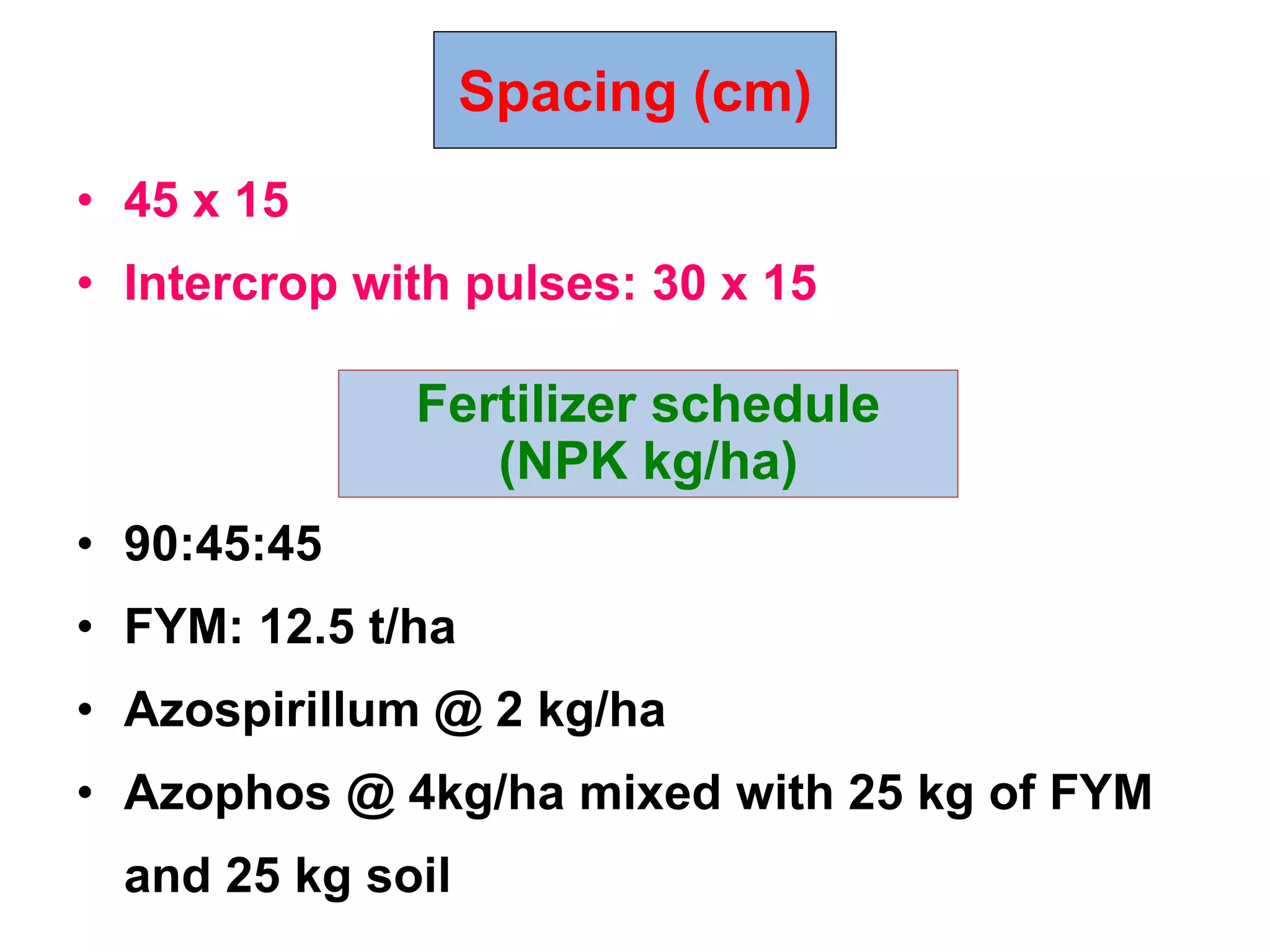 Production Technology of Millets.ppt