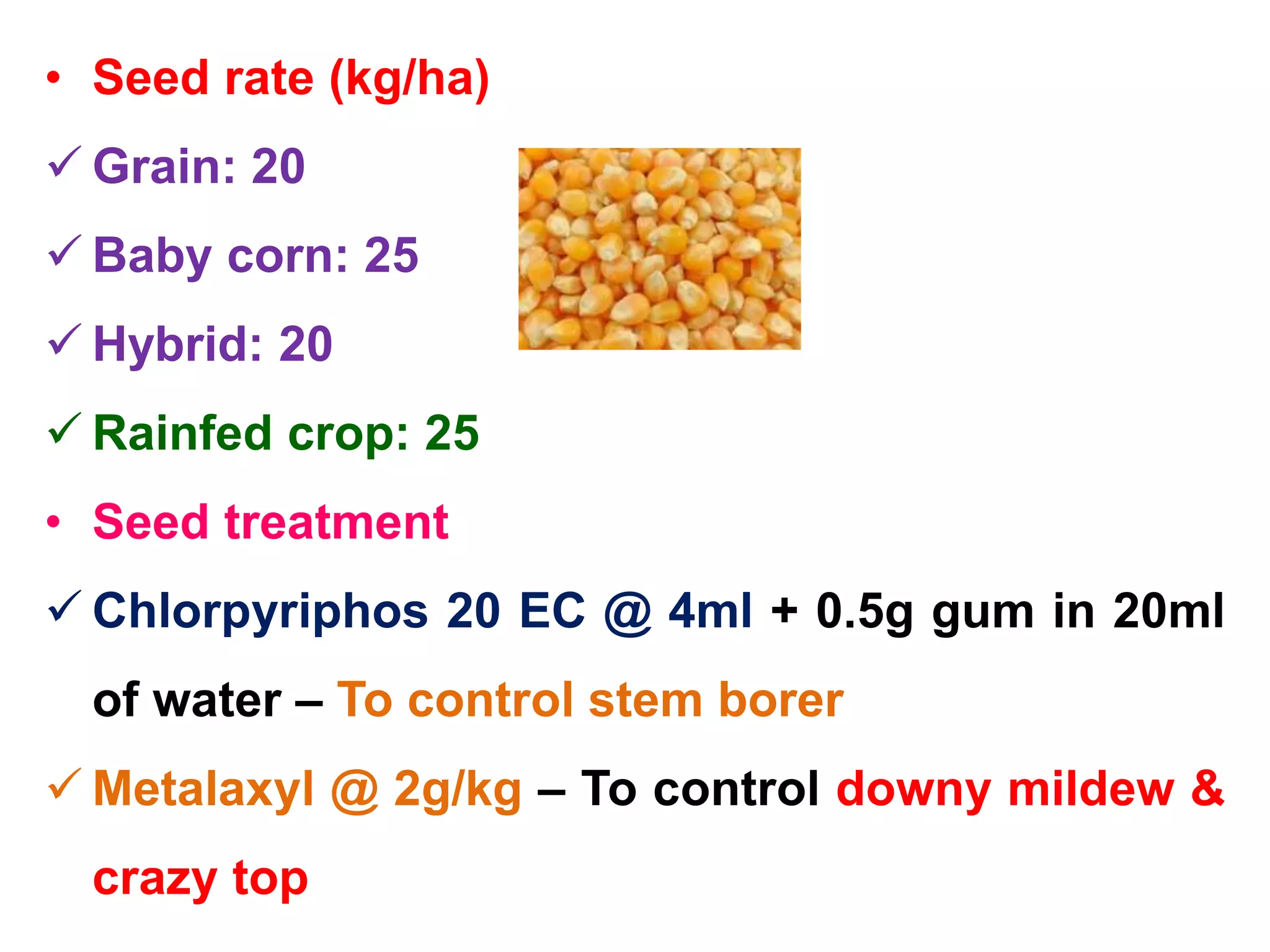 Production Technology of Millets.ppt