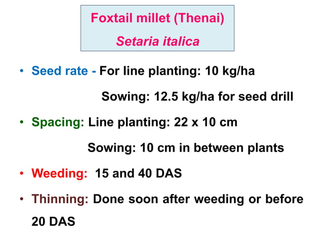 Production Technology of Millets.ppt | Agriculture | Industries