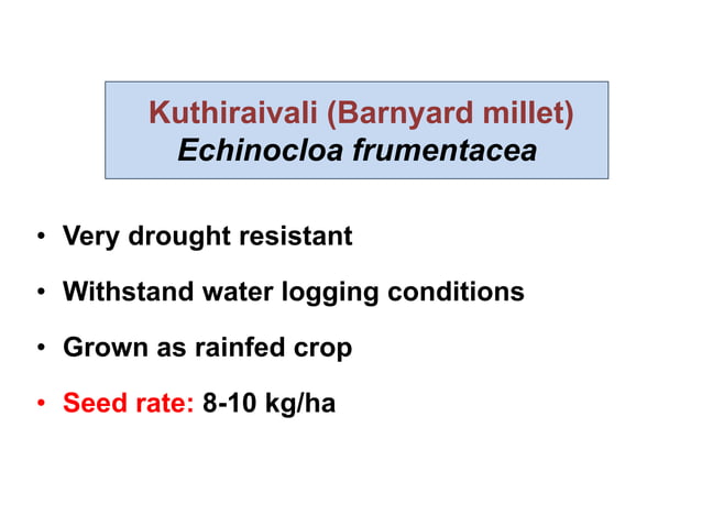 Production Technology of Millets.ppt | Agriculture | Industries