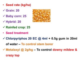 Production Technology of Millets.ppt