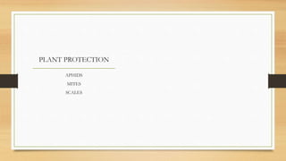 Production technology of Nerium and Ixora | PPTX